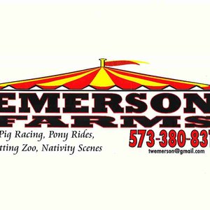 ZOOBEEZ PETTING ZOO - Updated December 2024 - 11 Photos - 8360 State ...