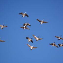 Mike's Camera Reviews | Read Customer Service Reviews of mikescamera.com