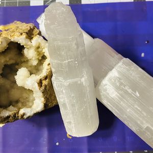 TARGET - Updated June 2025 - 3095 W Norvell Bryant Hwy, Lecanto ...