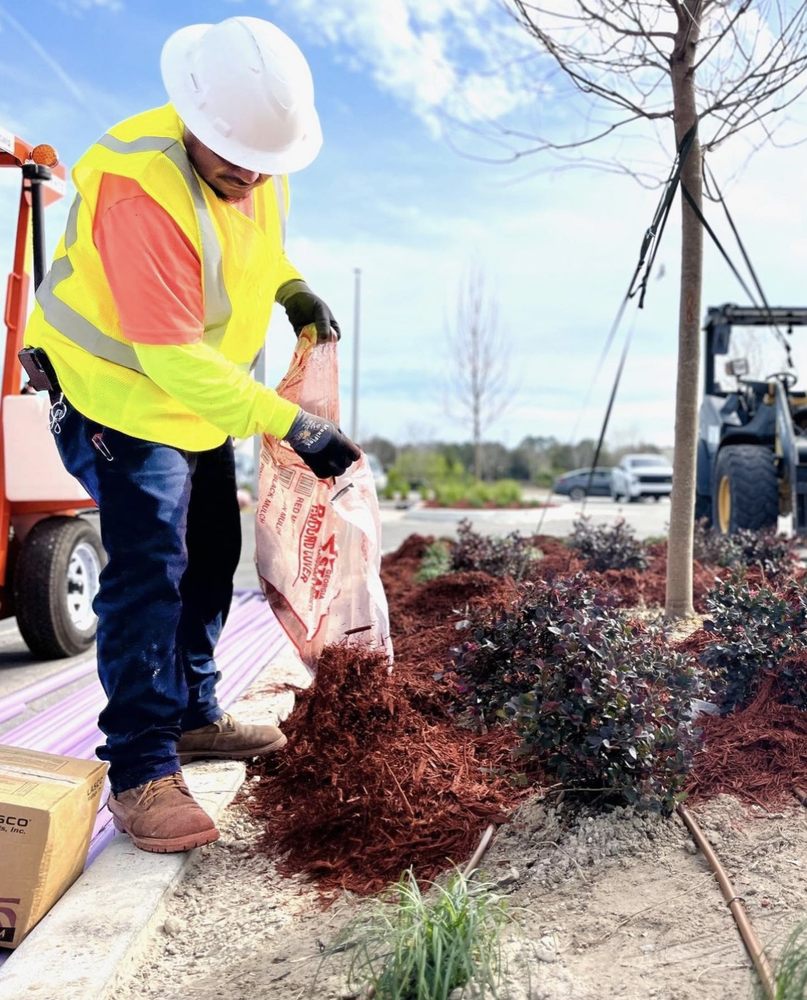 ELT LANDSCAPE - Updated July 2025 - 18 Photos - 3210 Sydney Rd, Plant ...