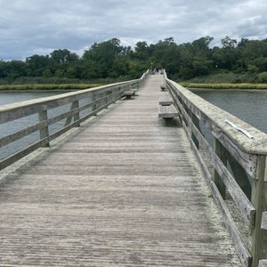 NORMAN J LEVY PARK & PRESERVE - 407 Photos & 53 Reviews - 1600 Merrick ...