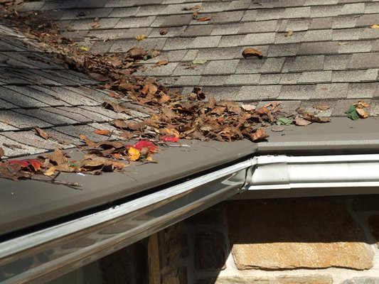 THE GUTTER PEOPLE OF WNY - Updated December 2025 - 12 Reviews - 5086 ...