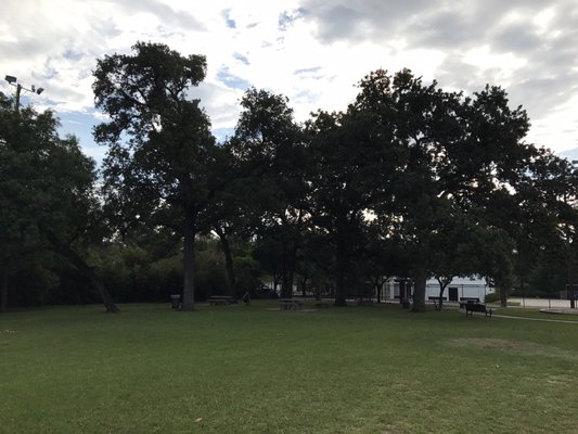 MILROY PARK - Updated October 2025 - 10 Photos - 1205 Yale St, Houston ...