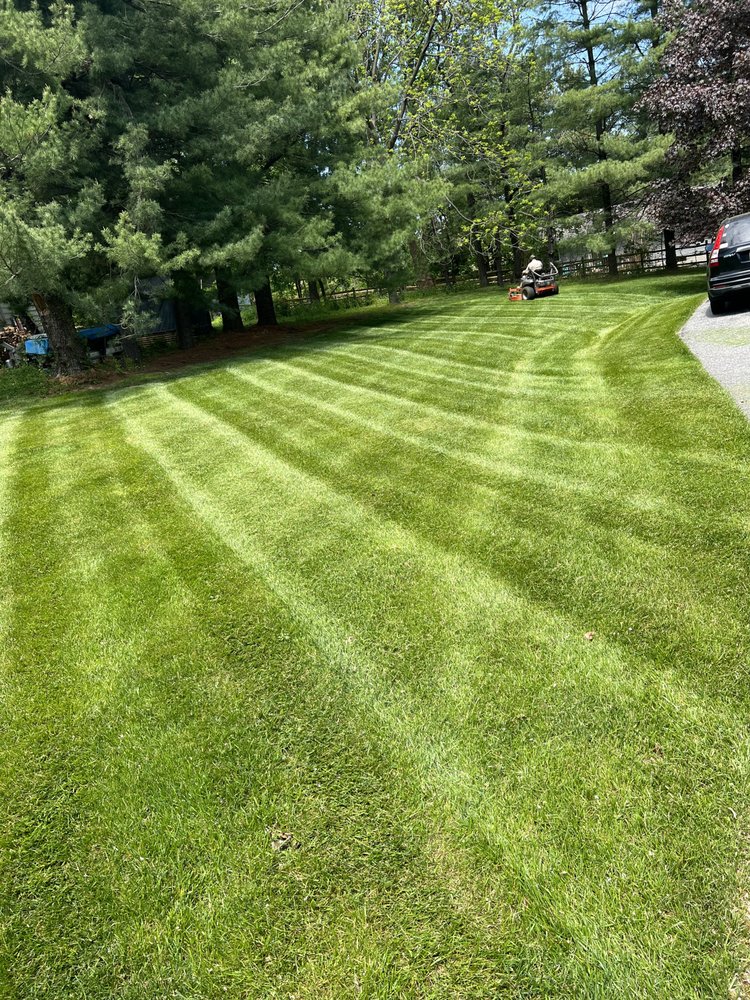 AIRY LAWN SERVICE - Updated March 2026 - Request a Quote - Mount Airy ...