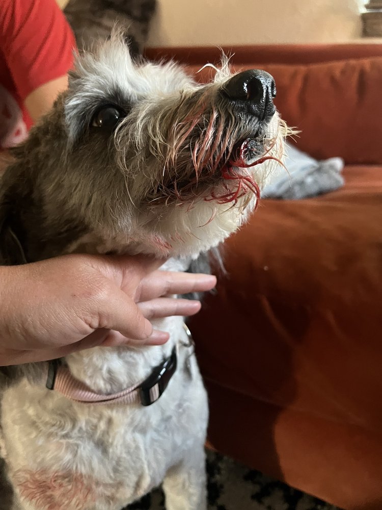 JK’S RUFF HOUSE - Updated October 2025 - 20 Photos & 53 Reviews - 3565 ...