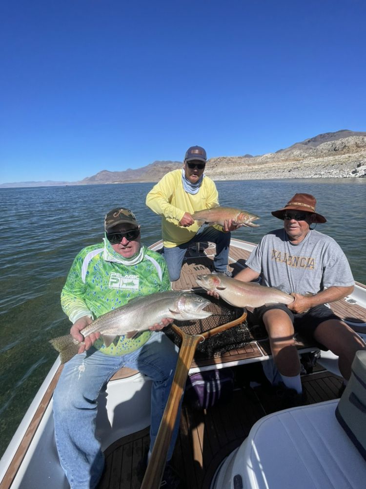 LACEY’S GUIDE SERVICE - 15 Photos - 2500 Lakeview Dr, Reno, Nevada ...