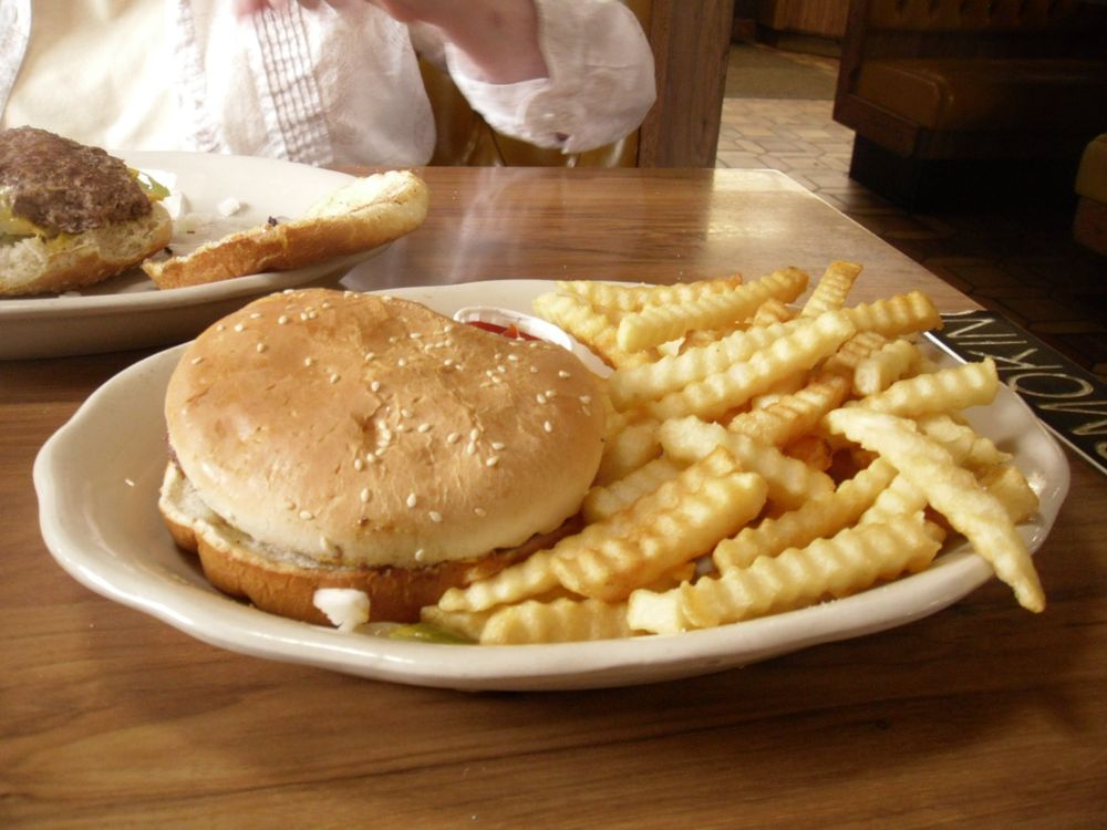 RITZEE HAMBURGERS - 29 Reviews - Burgers - 1463 Michigan Ave W, Battle ...