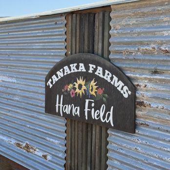 HANA FIELD BY TANAKA FARMS - TEMP. CLOSED - Updated July 2025 - 475 ...