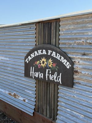 HANA FIELD BY TANAKA FARMS - Updated October 2025 - 505 Photos & 231 ...