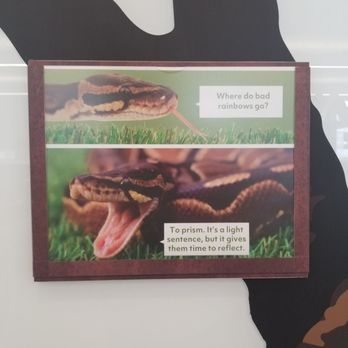 ROUND ROCK PUBLIC LIBRARY - Updated December 2025 - 70 Photos & 12 ...