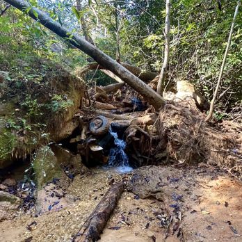 RED BLUFF HIKE - Updated September 2025 - 28 Photos - Foxworth ...