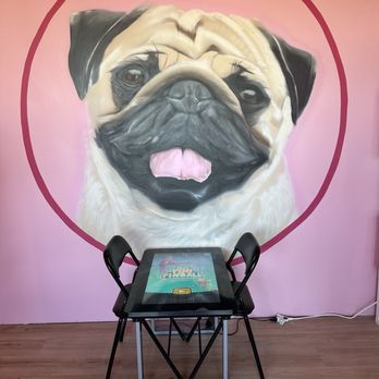 CUPPA PUG - Updated January 2025 - 68 Photos & 24 Reviews - 607 W 9th ...