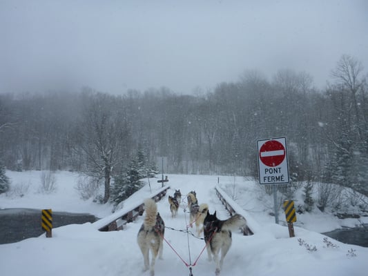 ESCAPADE ESKIMO - Updated June 2025 - 15 Photos - 1378 Route 301, Otter ...