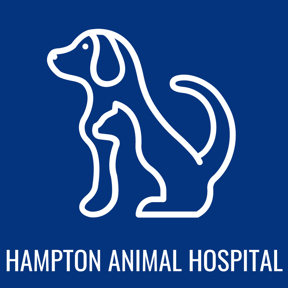 HAMPTON ANIMAL HOSPITAL - Updated June 2025 - 14 Reviews - 2826 Hampton ...