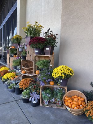 PAVILIONS - Updated August 2025 - 168 Photos & 219 Reviews - 4365 ...