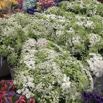 SAN FRANCISCO FLOWER MARKET - Updated April 2026 - 621 Photos & 230 ...