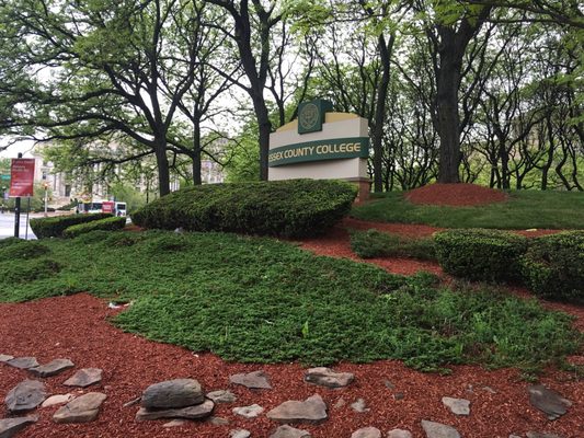 ESSEX COUNTY COLLEGE - Updated December 2025 - 14 Photos & 15 Reviews ...