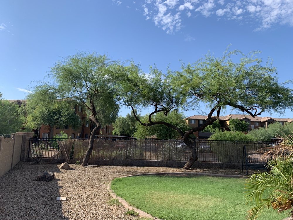 ANDY’S TREE SERVICE - Updated October 2025 - 32 Reviews - 30151 N 149th ...