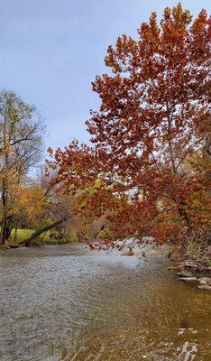 BRUSHY CREEK REGIONAL TRAIL - Updated December 2025 - 157 Photos & 75 ...