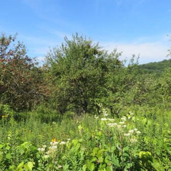 ICE AGE TRAIL - TABLE BLUFF SEGMENT near you at 2110 Main St, Cross ...