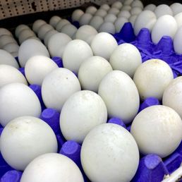 SEAFOOD CITY SUPERMARKET - Updated October 2025 - 766 Photos & 261 ...