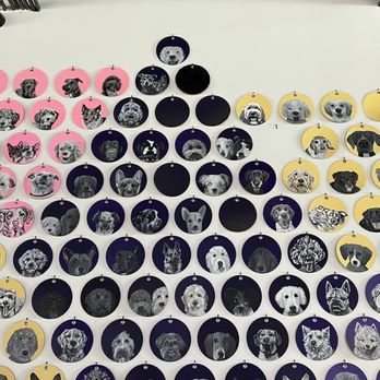 SKIPTOWN - Updated December 2025 - 201 Photos & 115 Reviews - 222 ...