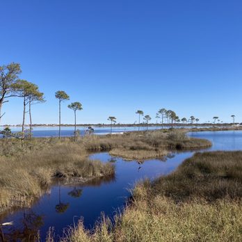 BON SECOUR NATIONAL WILDLIFE REFUGE - Updated December 2025 - 44 Photos ...