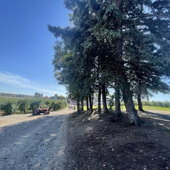 WINDY HILL ORCHARD - Updated October 2025 - 53 Photos & 14 Reviews ...