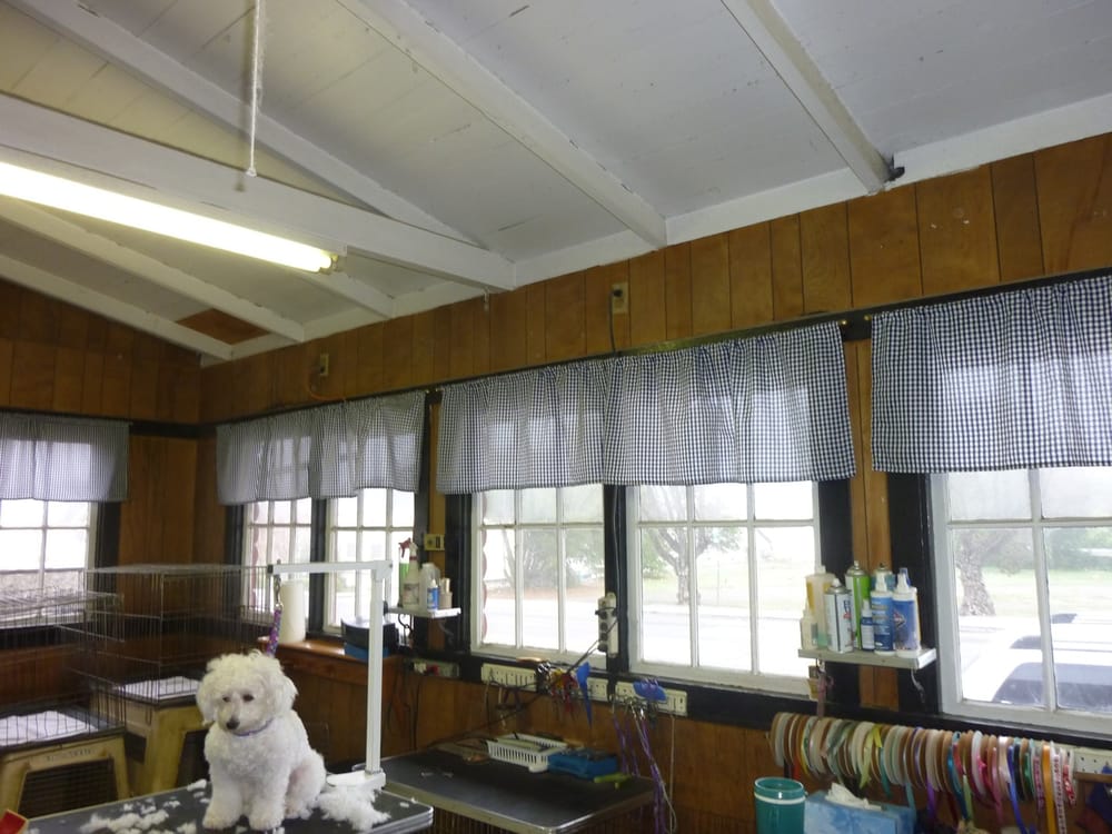 POODLE PARLOR - Updated July 2025 - 901 Alameda St, Vallejo, California ...