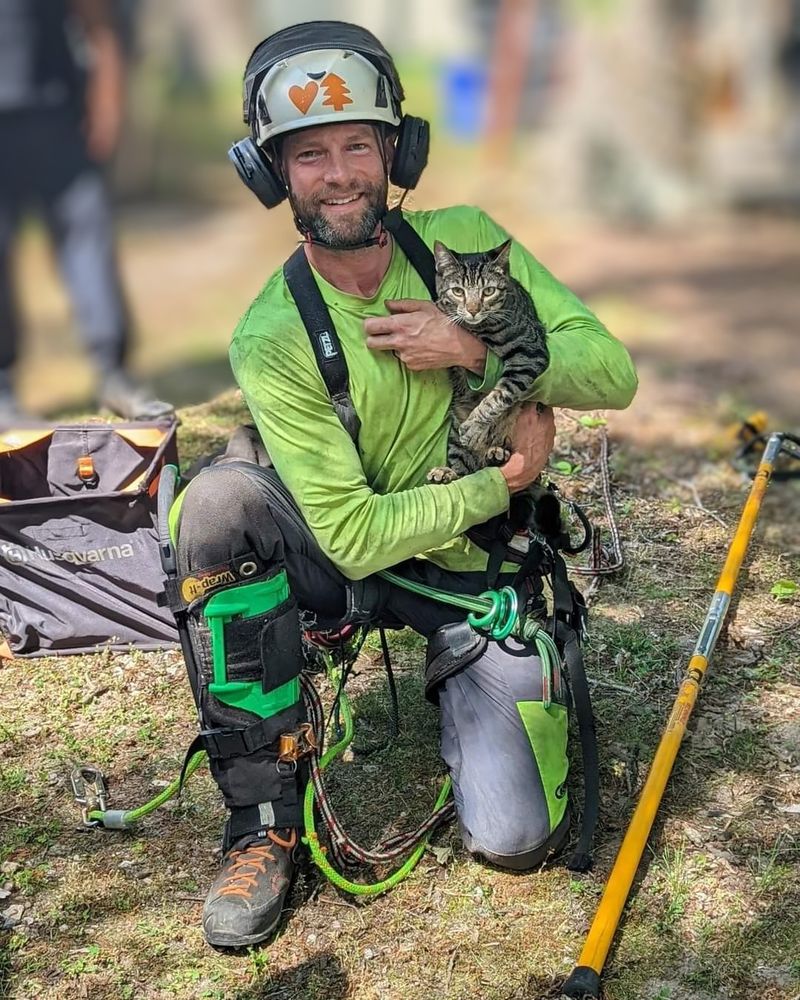 TESLA TREE SERVICE - Updated November 2025 - 19 Photos - 623 Ardmore ...