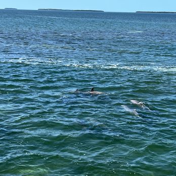 SUNSET WATERSPORTS KEY WEST - 447 Photos & 478 Reviews - 201 Williams ...