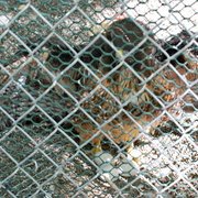 CALIFORNIA RAPTOR CENTER - 39 Photos & 17 Reviews - 1340 Equine Way ...