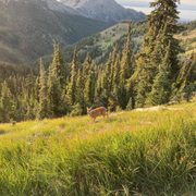 HURRICANE RIDGE - 396 Photos & 89 Reviews - 600 E Park Ave, Port ...