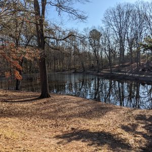 RESCUE RANCH - Updated June 2024 - 29 Photos - 1424 Turnersburg Hwy ...