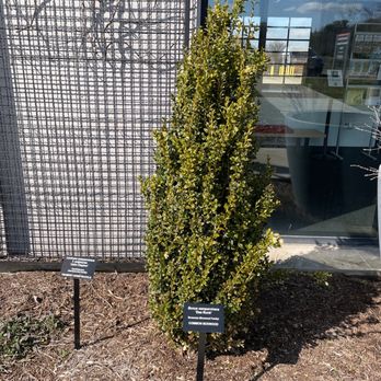 SECREST ARBORETUM - Updated August 2025 - 17 Photos & 14 Reviews - 1680 ...