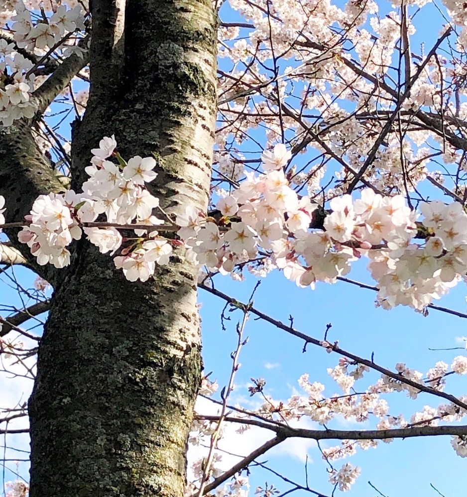BROOKSIDE RESERVATION - Updated January 2026 - 11 Photos - John Nagy ...