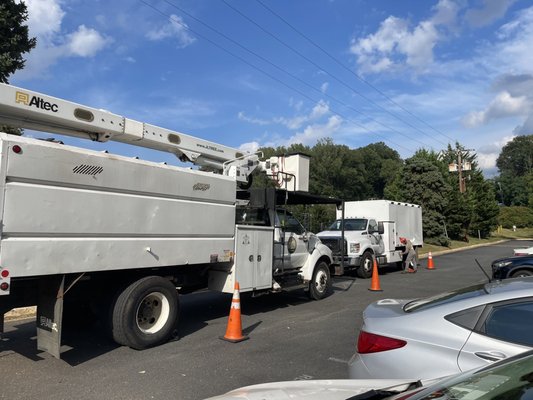 JL TREE SERVICE - Updated December 2024 - 118 Photos & 130 Reviews ...