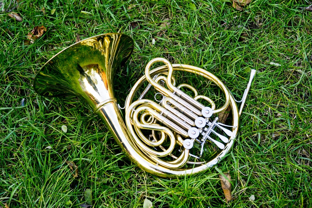 SORAUREN MUSIC - Updated July 2024 - Toronto, Ontario, Canada - Musical ...