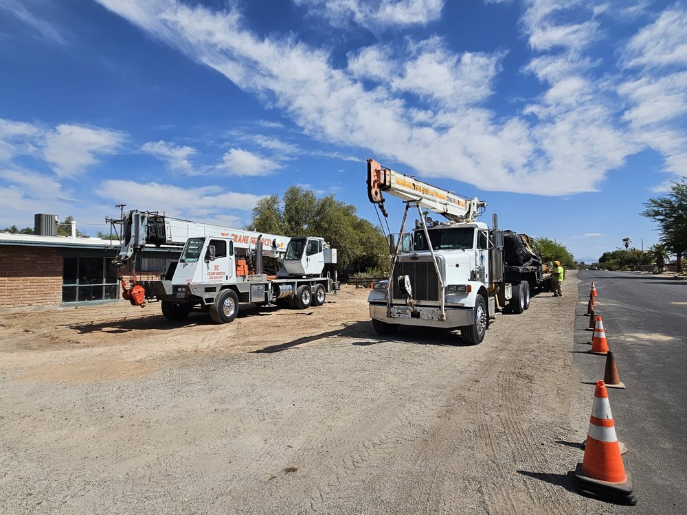 TC TREE SERVICE - Updated August 2025 - 80 Photos - 11207 S Swan Rd ...