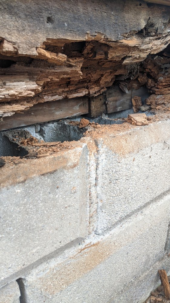 home-inspectors-alltex-home-inspection-tyler-texas-phone-number