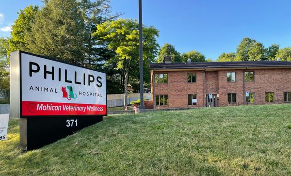 PHILLIPS ANIMAL HOSPITAL - Updated December 2025 - 371 Cline Ave ...