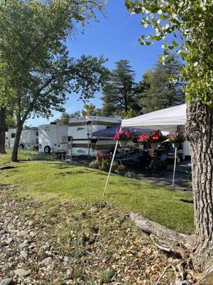 MARINA RV PARK - Updated October 2025 - 19 Photos & 17 Reviews - 2615 ...