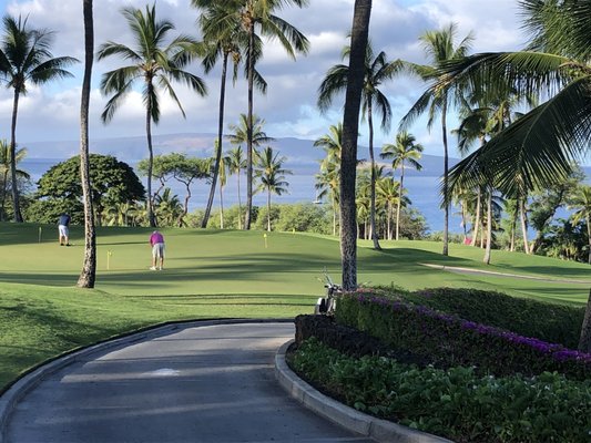 WAILEA GOLF CLUB - 262 Photos & 113 Reviews - 100 Wailea Golf Club Dr ...