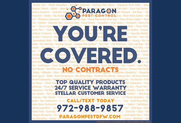 PARAGON PEST CONTROL - Updated September 2025 - 264 Photos & 81 Reviews ...