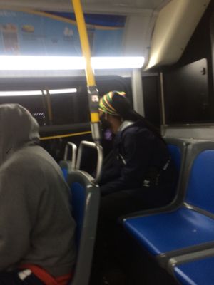 MTA-B44 BUS - Updated September 2024 - 18 Photos - 258 Nostrand Ave ...