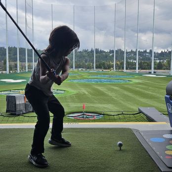 TOPGOLF - Updated December 2024 - 473 Photos & 240 Reviews - 780 Logan ...