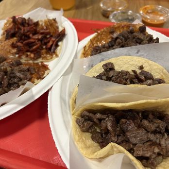 TACO VIVA - Updated October 2025 - 442 Photos & 326 Reviews - 2815 E ...