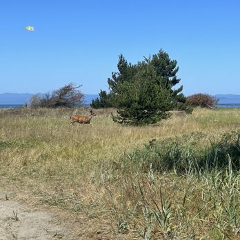 CRESCENT BEACH & RV PARK - Updated December 2025 - 69 Photos & 67 ...