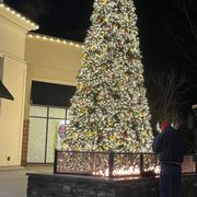 THE PROMENADE SHOPS AT EVERGREEN WALK - 144 Photos & 44 Reviews - 501 ...