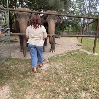 TWO TAILS RANCH - Updated December 2025 - 125 Photos & 94 Reviews ...